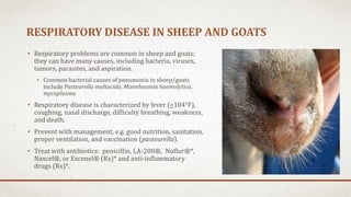 General Health Problems of Sheep/Goats | PPTX