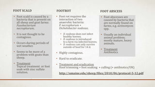 General Health Problems of Sheep/Goats | PPTX