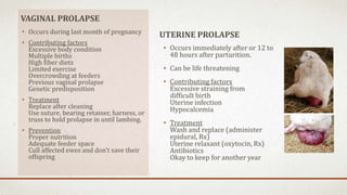 General Health Problems of Sheep/Goats | PPTX