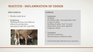 General Health Problems of Sheep/Goats | PPTX
