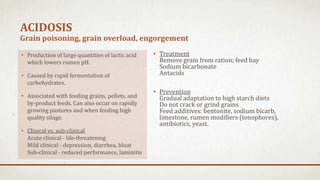 General Health Problems of Sheep/Goats | PPTX