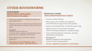 General Health Problems of Sheep/Goats | PPTX