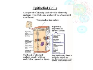 General Histology Introduction Ppt