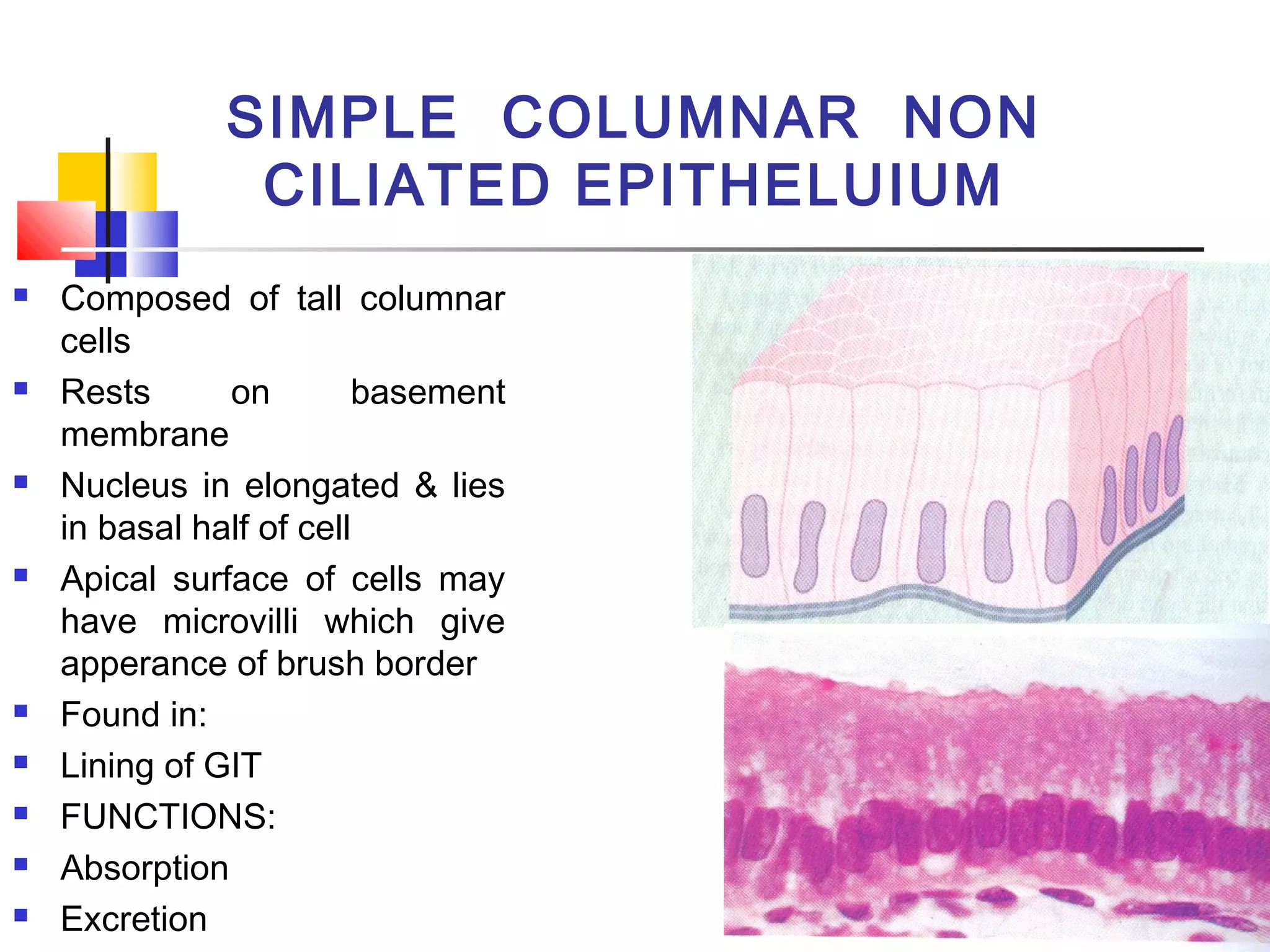 General histology | PPT
