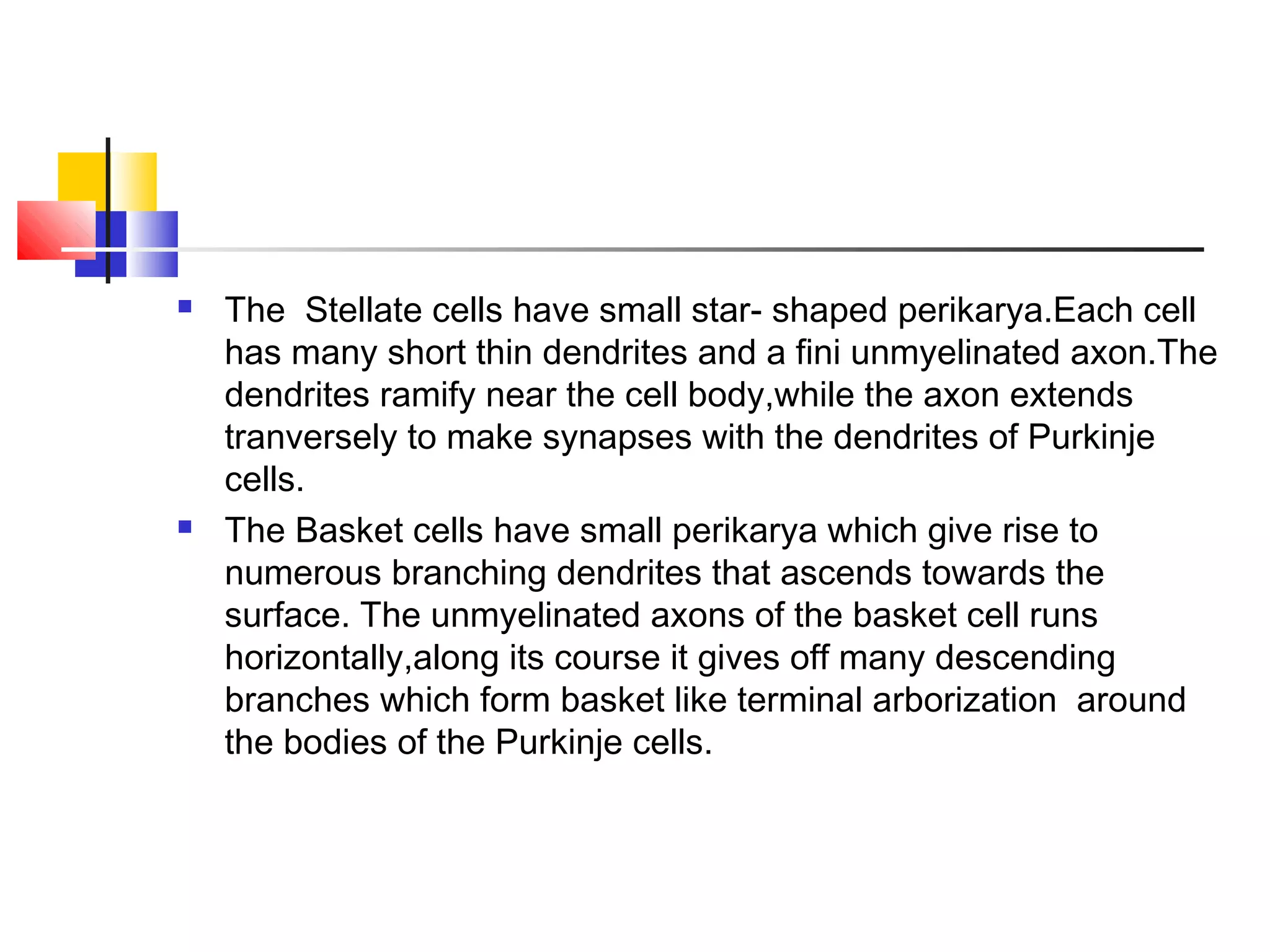 General histology | PPT