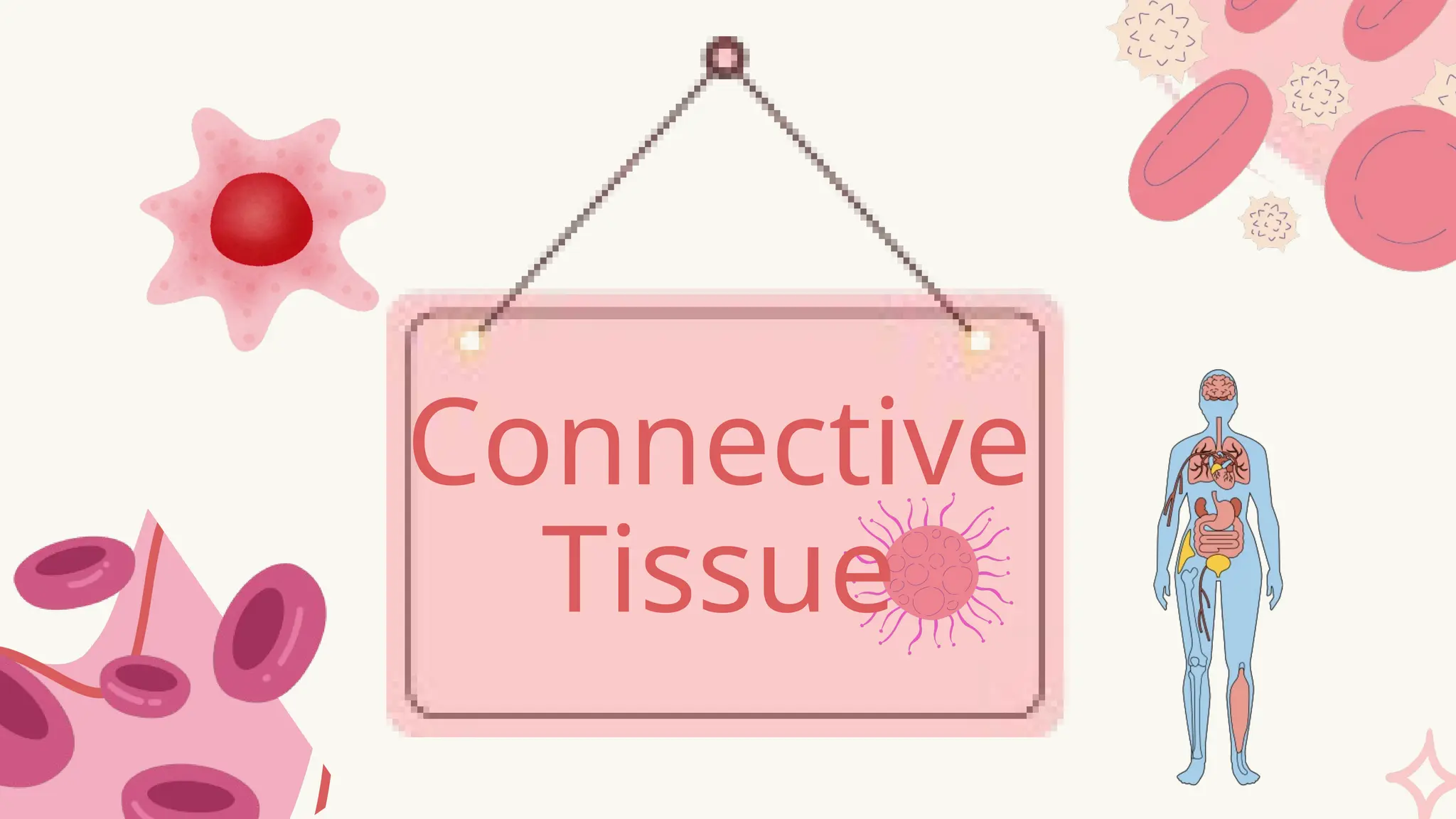 General histology cell epithelium connective tissue and bone by Dr ...