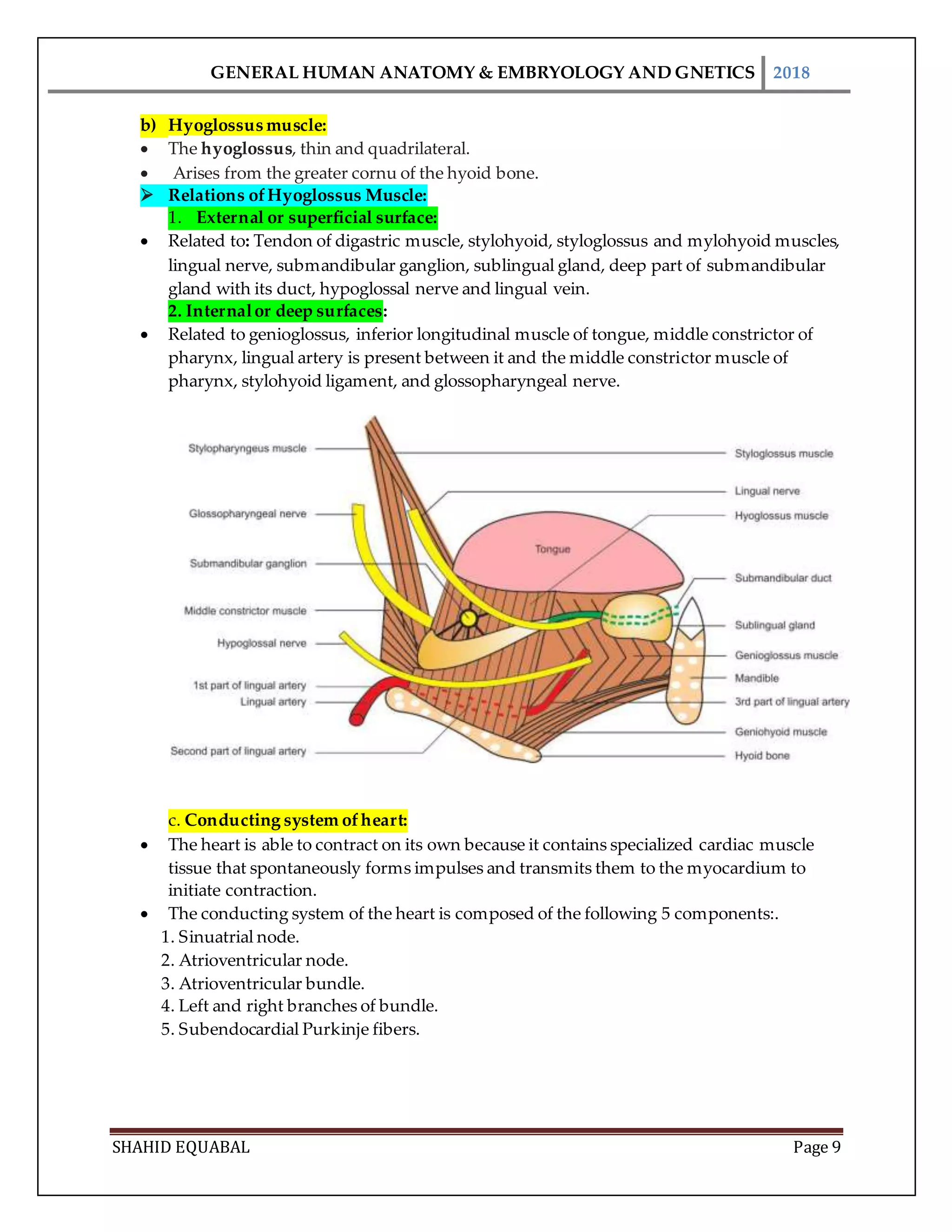 General human anatomy 2018 | DOCX