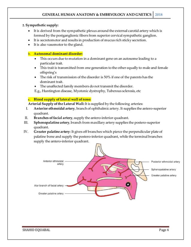 General human anatomy 2018 | DOCX