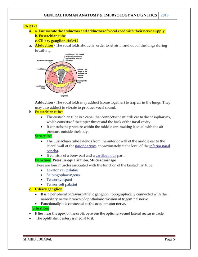 General human anatomy 2018 | DOCX
