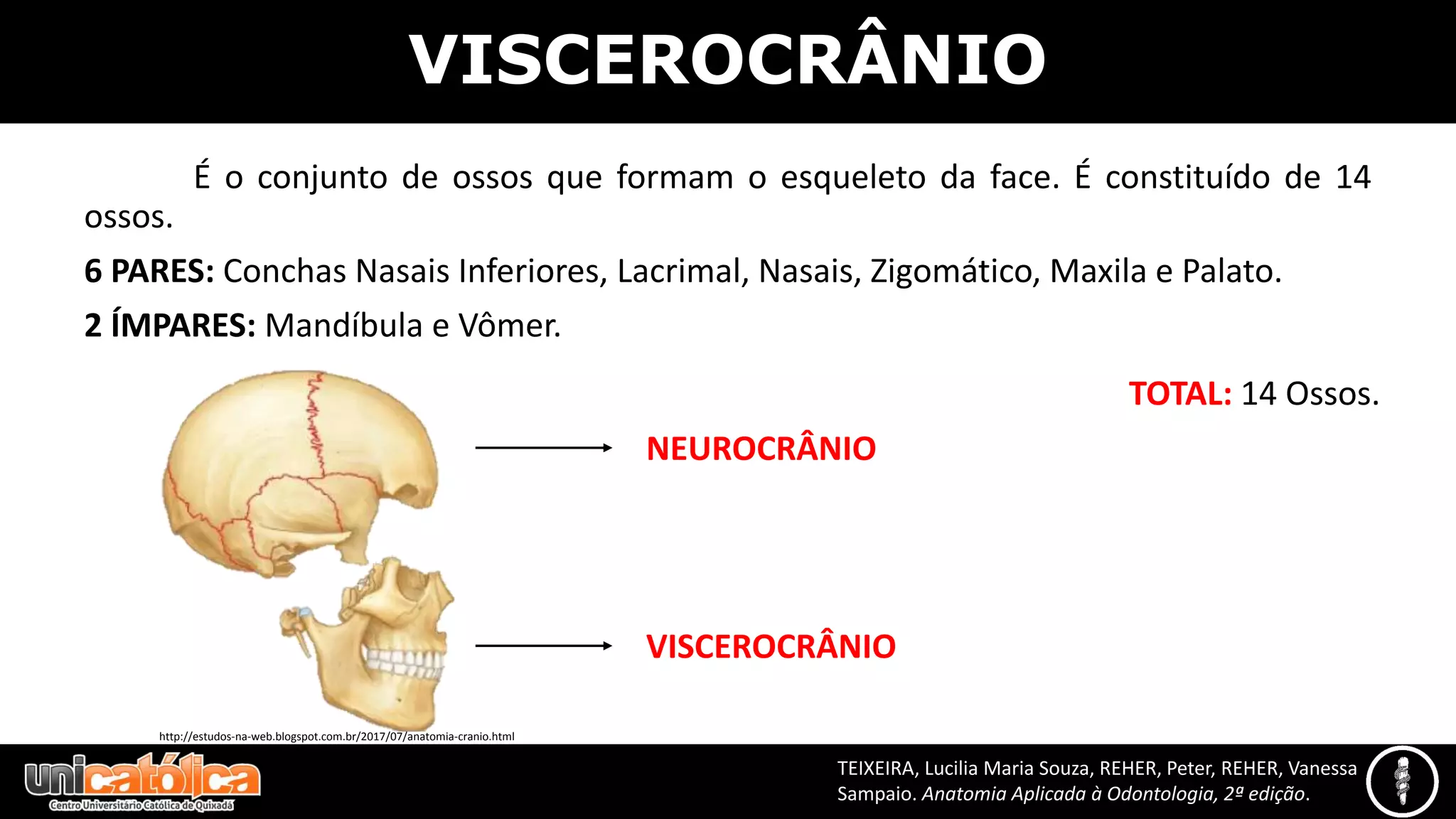 GENERALIDADES - MORFOLOGIA CABEÇA E PESCOÇO