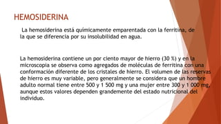 Generalidades de-anemias-y-anemia-ferropénica- | PPTX