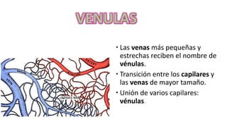 GENERALIDADES-DE-IRRIGACIÓN.pptx
