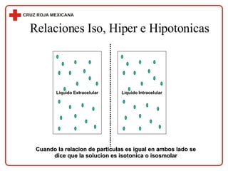Generalidades Fisiologia Osmolaridad | PPT