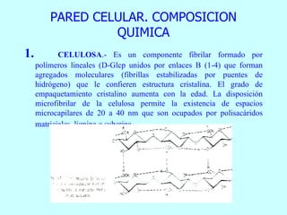 Generalidades. la celula vegetal | PPT