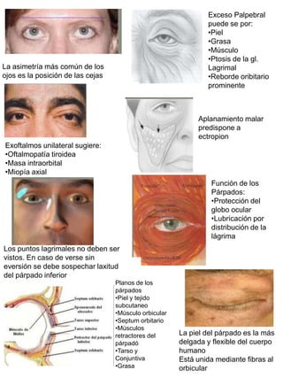 Generalidades blefaroplastia | PPTX