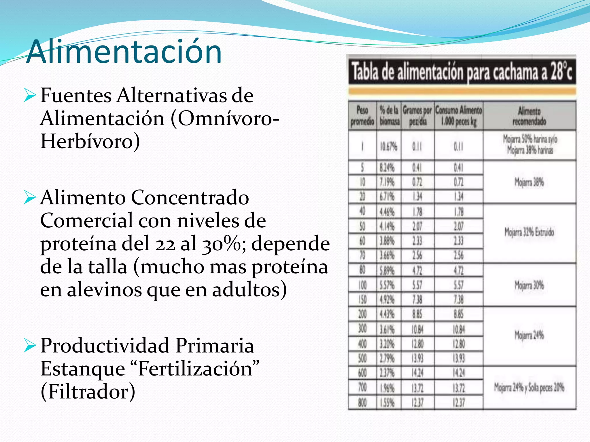 Generalidades Cachama | PPTX