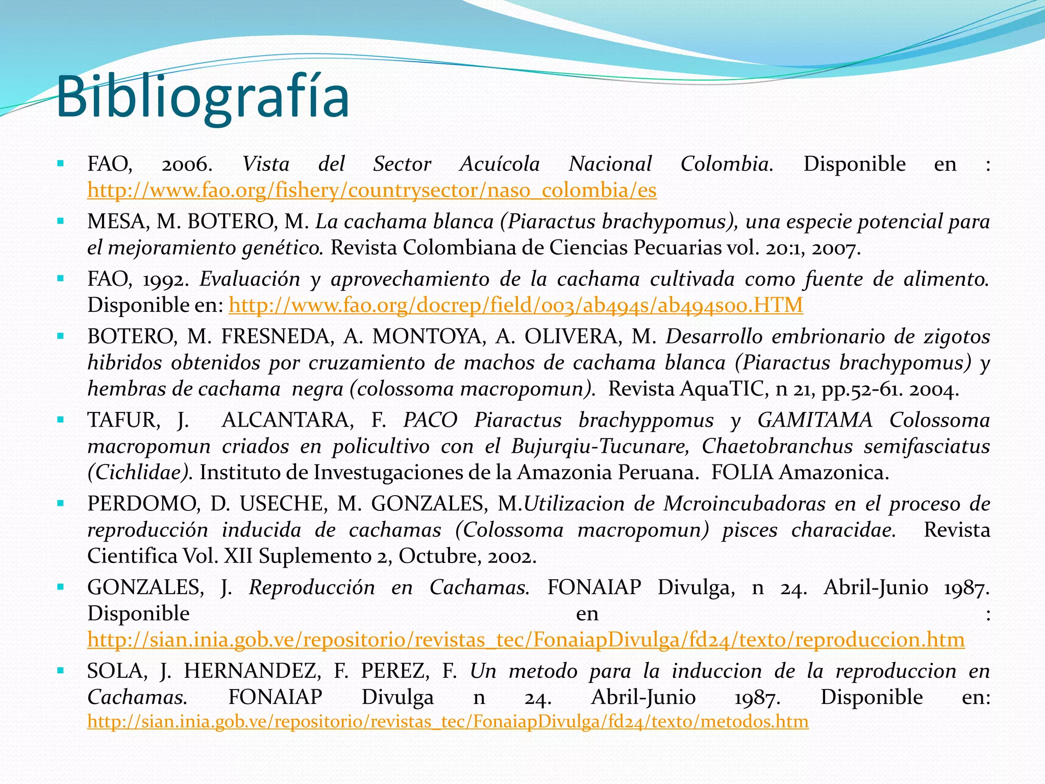 Generalidades Cachama | PPTX