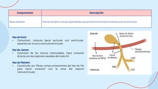 Generalidades cardiología y sistema de conducción eléctrico | PPTX