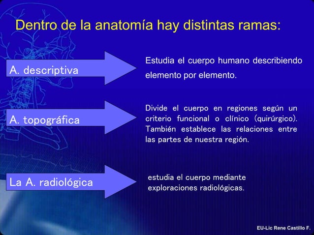 Generalidades sobre la Anatomia humana. ppt | PPT