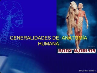 Generalidades de anatomía | PPT