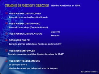 Generalidades de anatomía | PPT