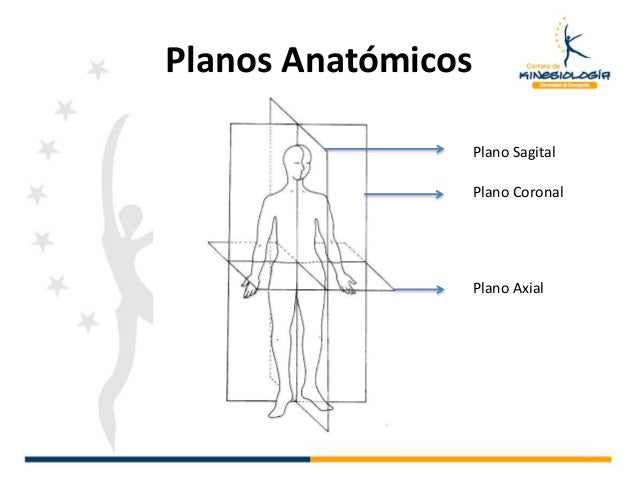 Generalidades de anatomia y osteología :)