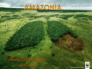 Generalidades de la Selva Amazónica - Brasil - 2014 | PDF