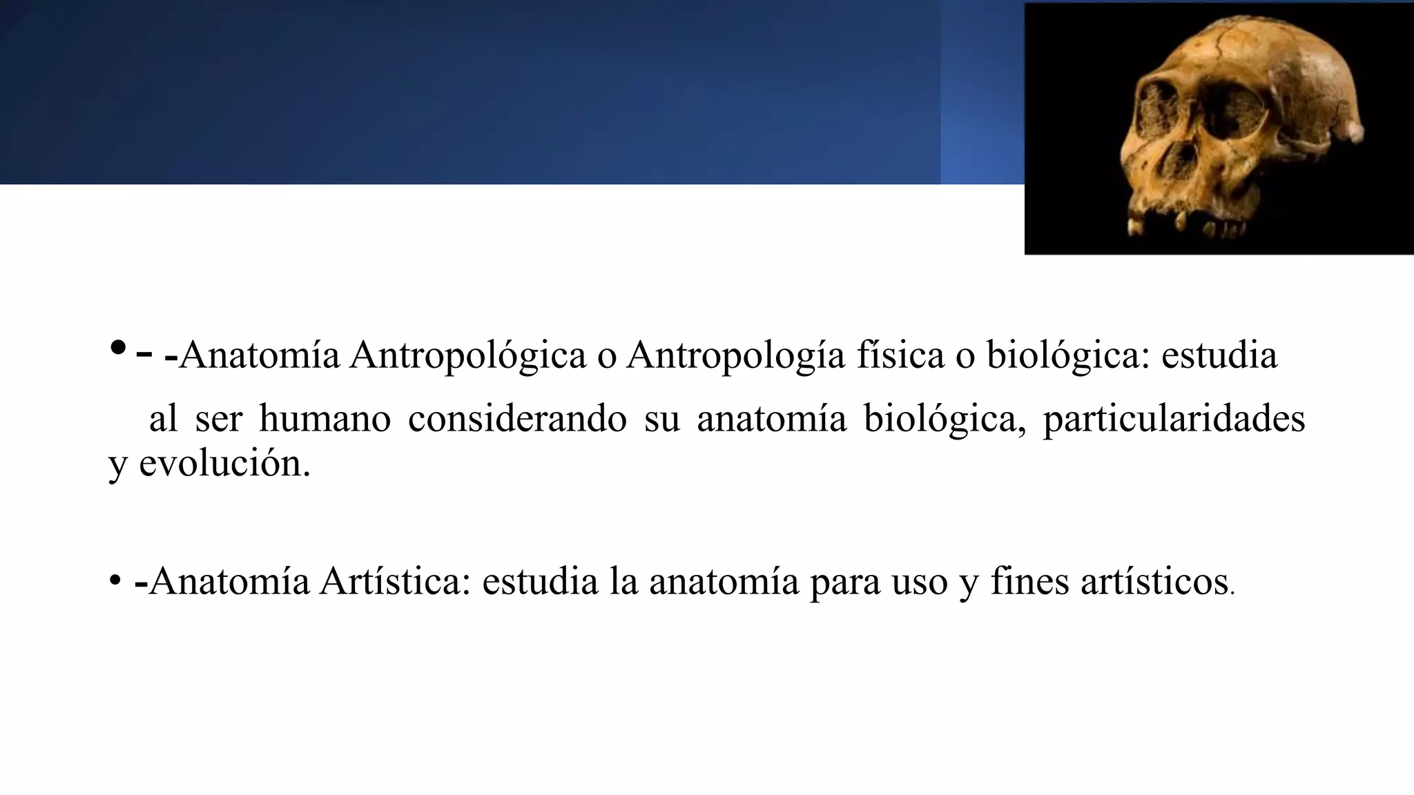 Generalidades de la anatomia | PPT