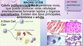 Generalidades de la célula | PPT