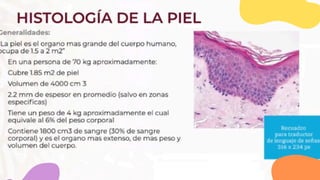 Generalidades de la dermatología (Presentación 2024) Nicole.pdf