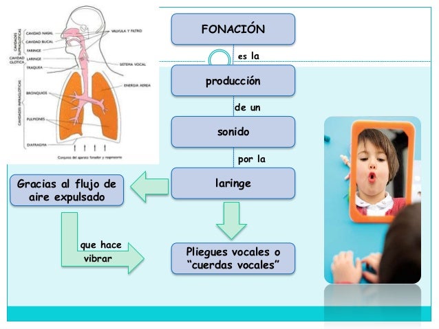 Generalidades de la fonación