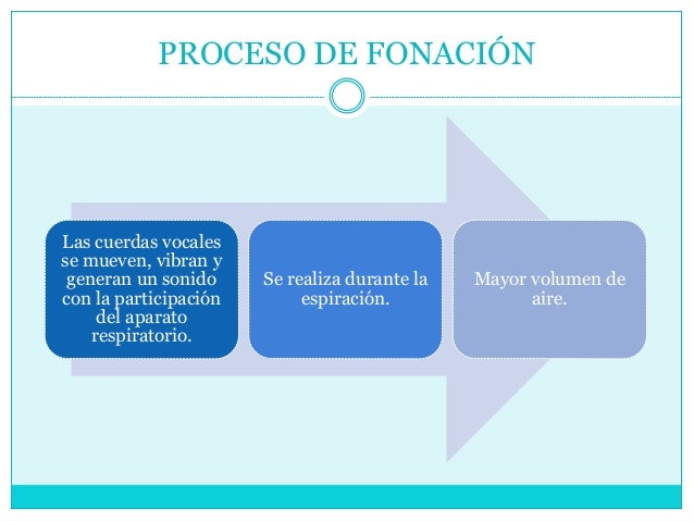 Generalidades de la fonación