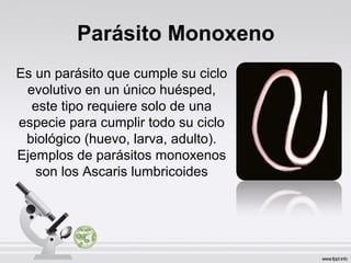 Generalidades de la parasitología | PPT