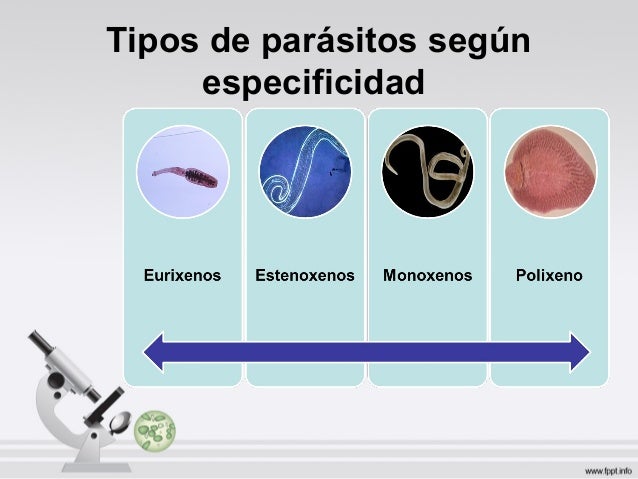 Generalidades de la parasitología