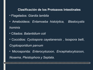 GENERALIDADES DE LA PARASITOLOGÍA.. continuacion (1).ppt