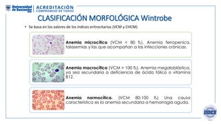 generalidades de las anemias.pdf