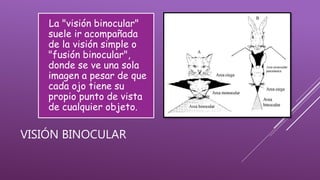 Generalidades de la visión binocular | PPTX