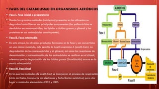 GENERALIDADES DEL METABOLISMO DE MACROMOLECULAS Y MICROMOLECULAS.pptx