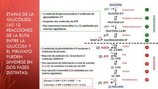 GENERALIDADES DEL METABOLISMO DE MACROMOLECULAS Y MICROMOLECULAS.pptx