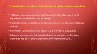 GENERALIDADES DEL METABOLISMO DE MACROMOLECULAS Y MICROMOLECULAS.pptx