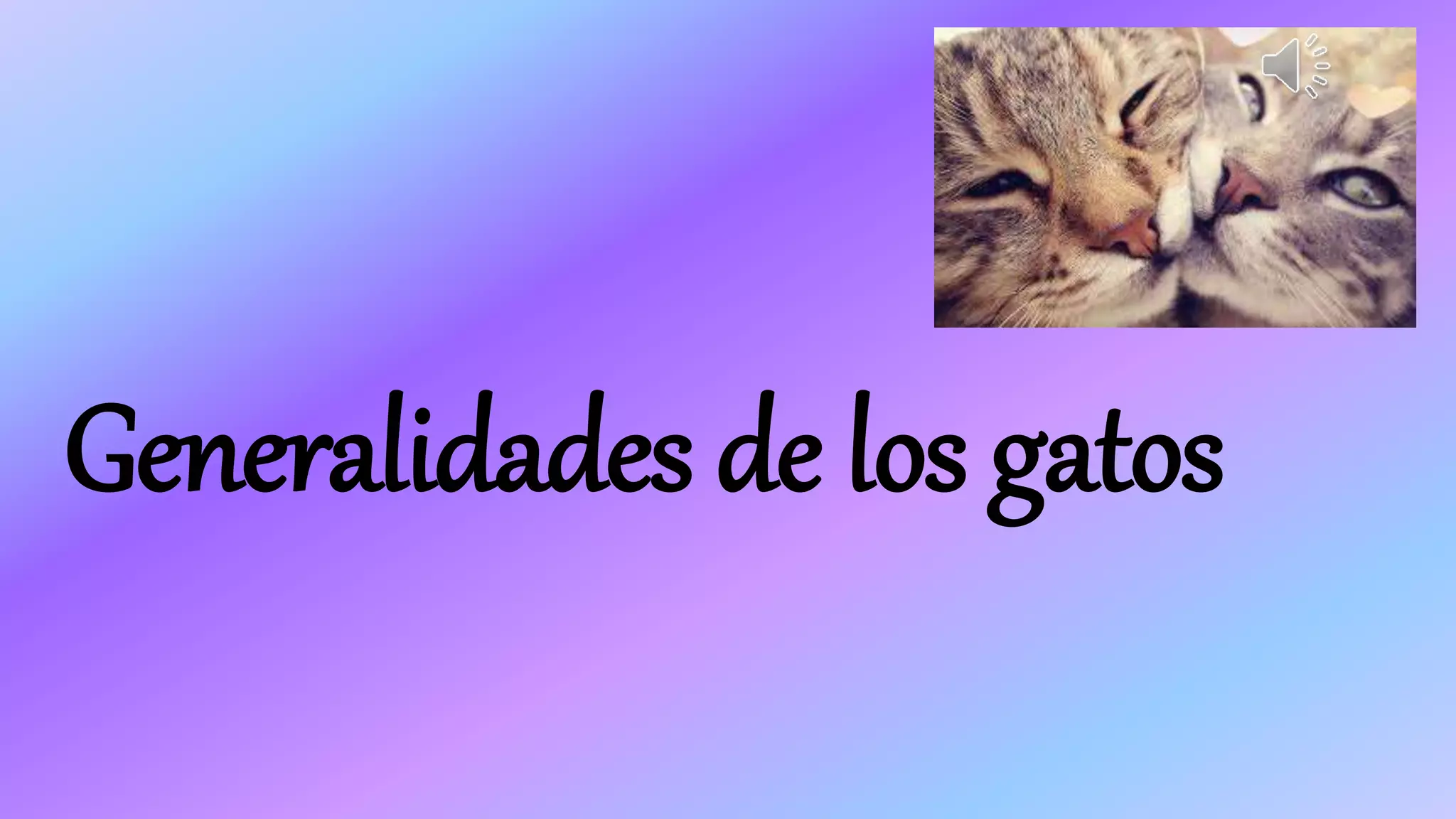 Generalidades de los gatos | PPT