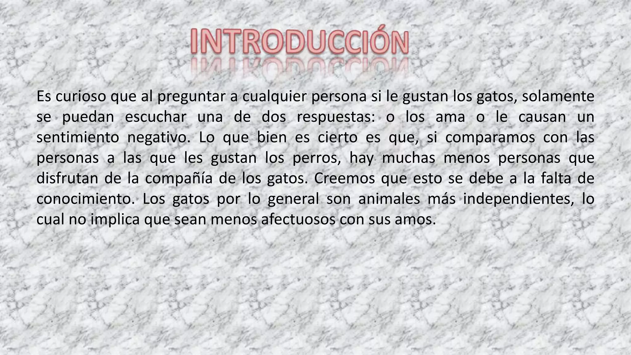 Generalidades de los gatos | PPT