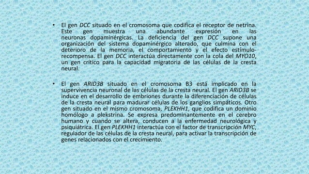 Generalidades de los gatos | PPT