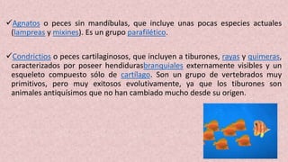 Generalidades de los peces | PPTX