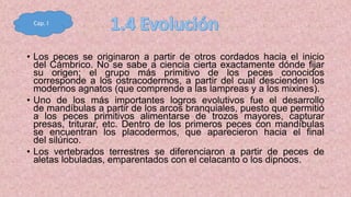 Generalidades de los peces | PPT