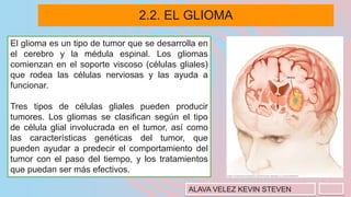 GENERALIDADES DE LOS TUMORES GLIALES - ALAVA STEVEN .pptx