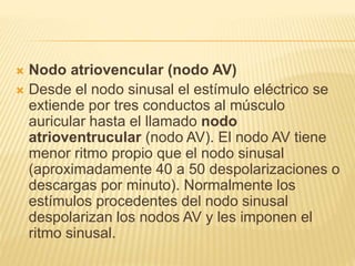 Generalidades del sistema cardiovascular | PPTX