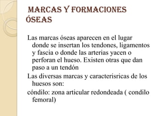 Generalidades del Sistema Osteoarticular III | PPTX