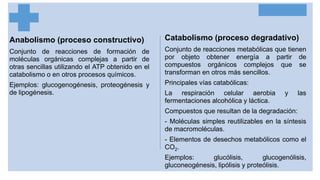 Generalidades de metabolismo.pptx