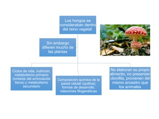 Generalidades de micologia, diagnostico y tratamiento. | PPTX